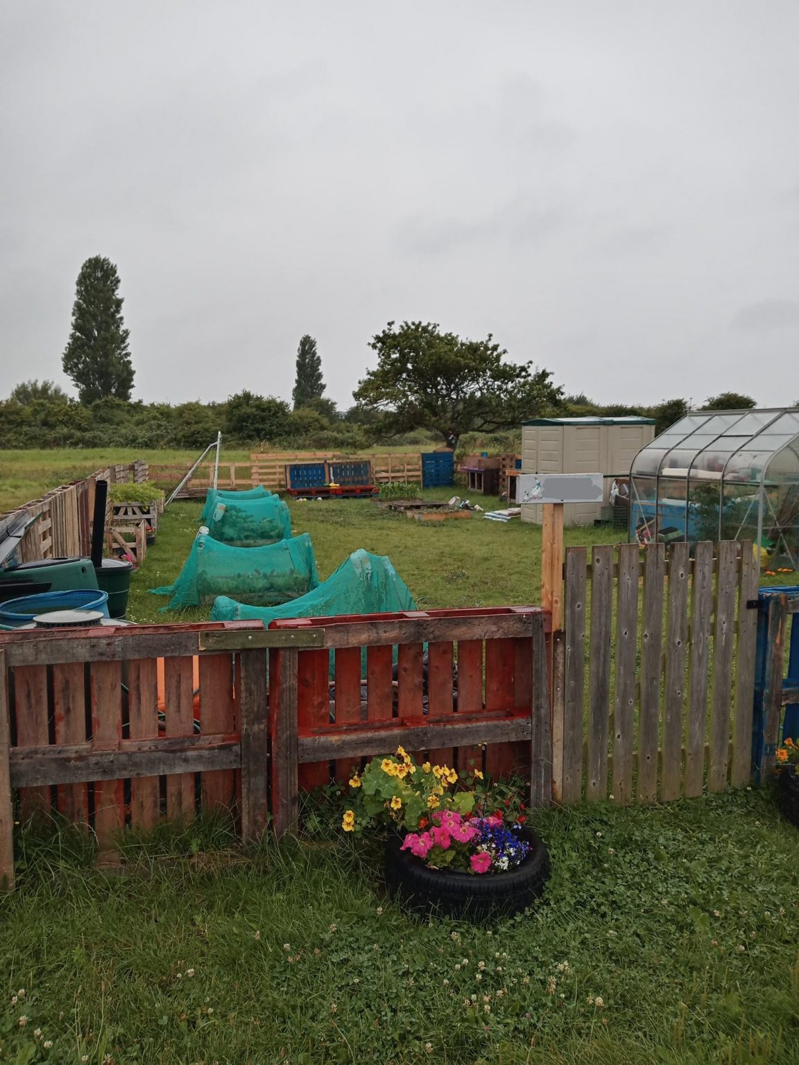 Are you up for the challenge? Additional plots available at allotments ...