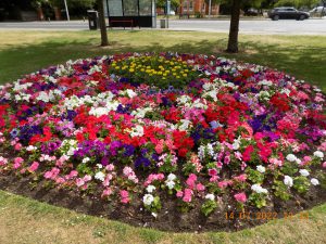 Two golds and a silver – congratulations to the area’s In Bloom groups ...