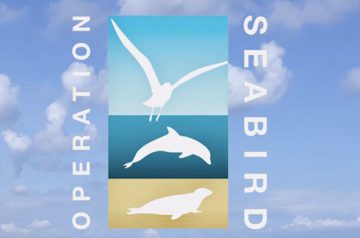 Operation Seabird highlights risks to our unique coastline | NELC