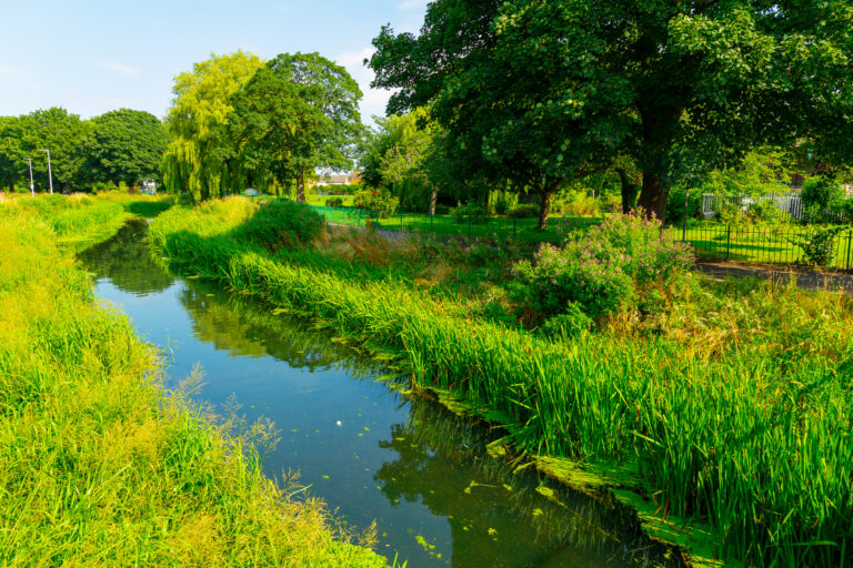 Parks and open spaces | NELC