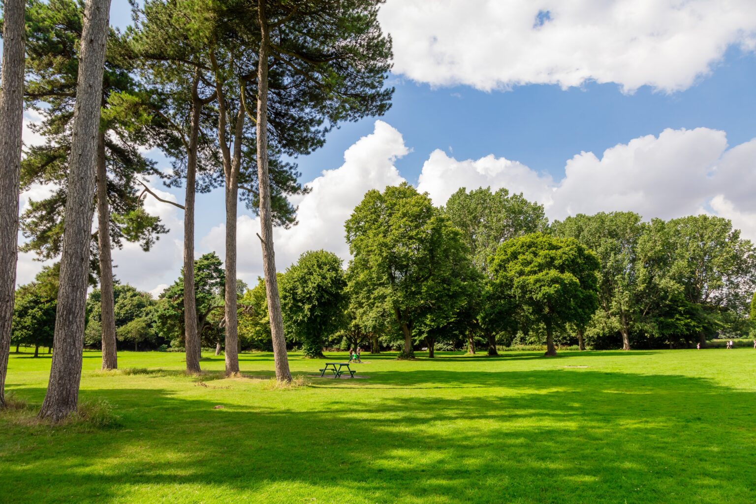 Parks and open spaces | NELC