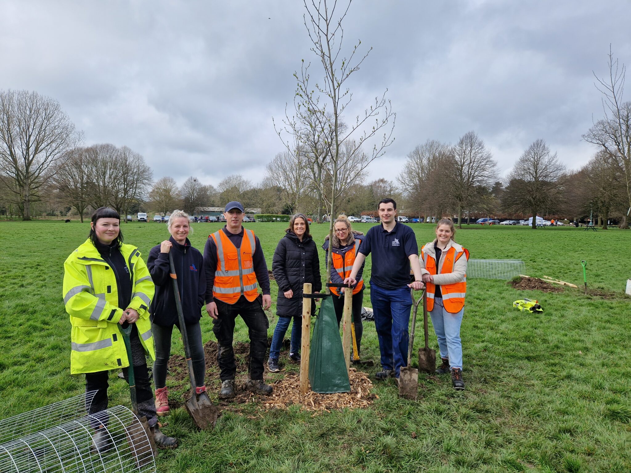 Day in the Life of Environmental Sustainability: trees, trees and more ...