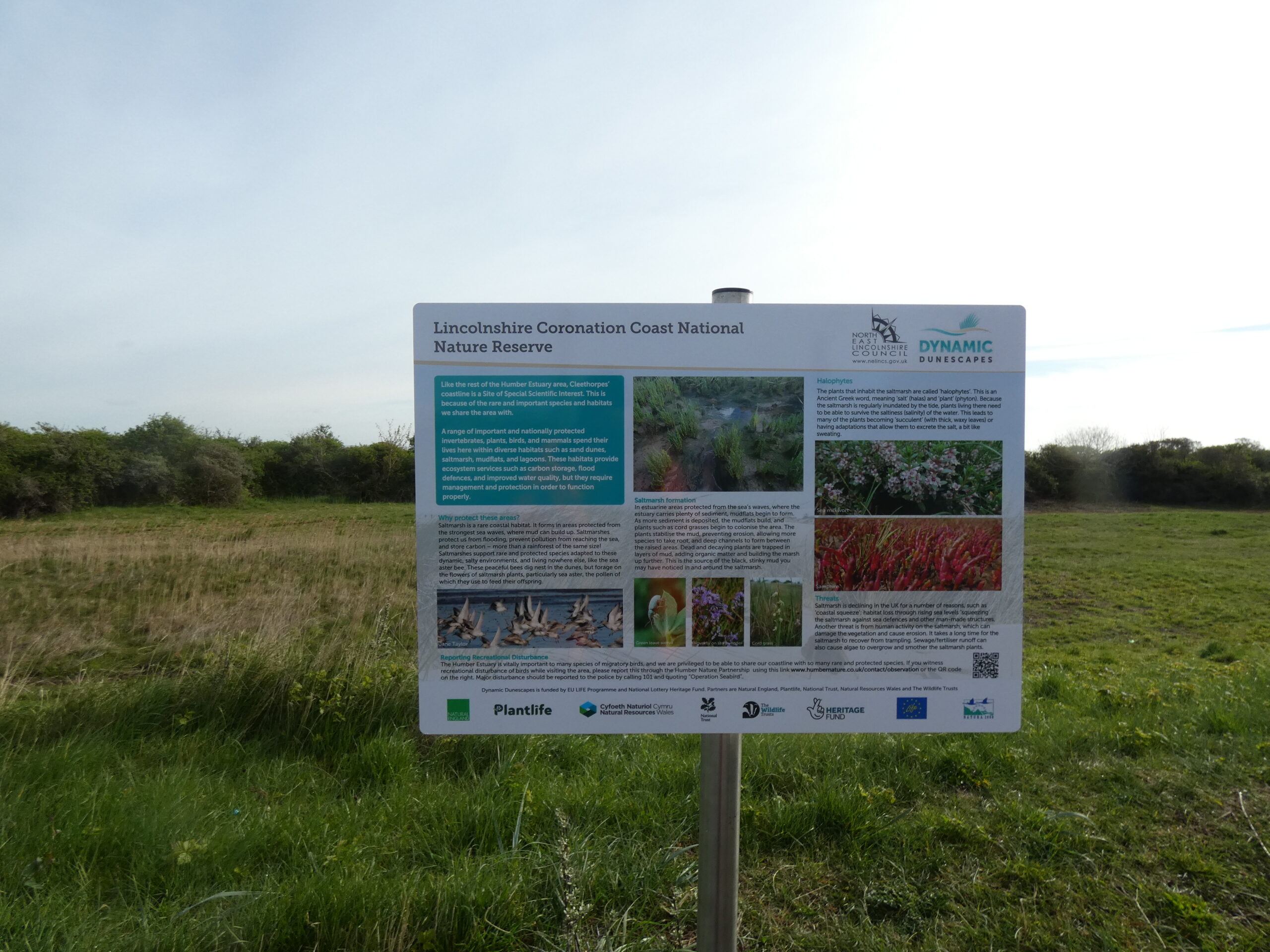 New signs show how important Cleethorpes is as a wildlife haven | NELC