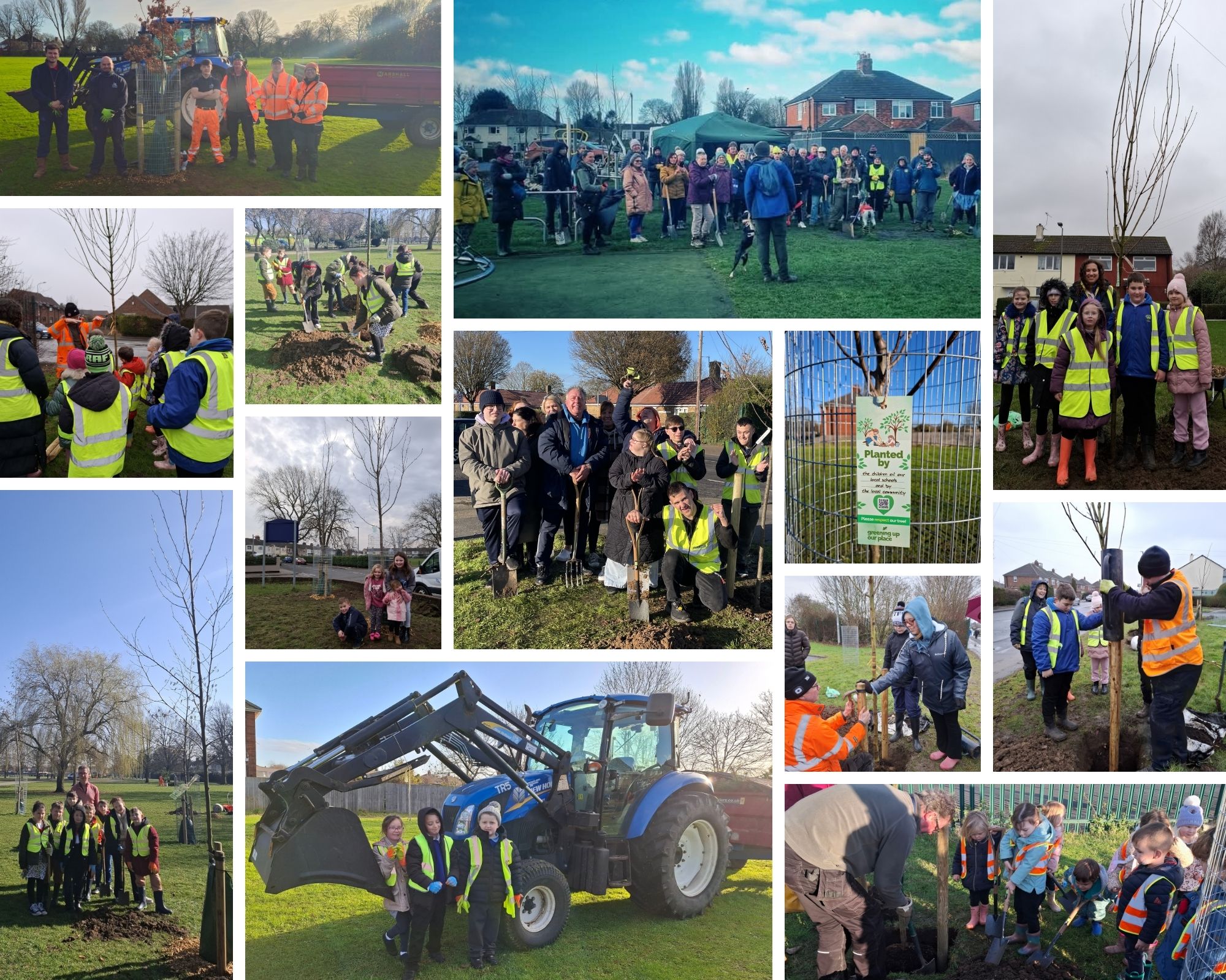 Hundreds of new trees take root as second winter planting programme ...