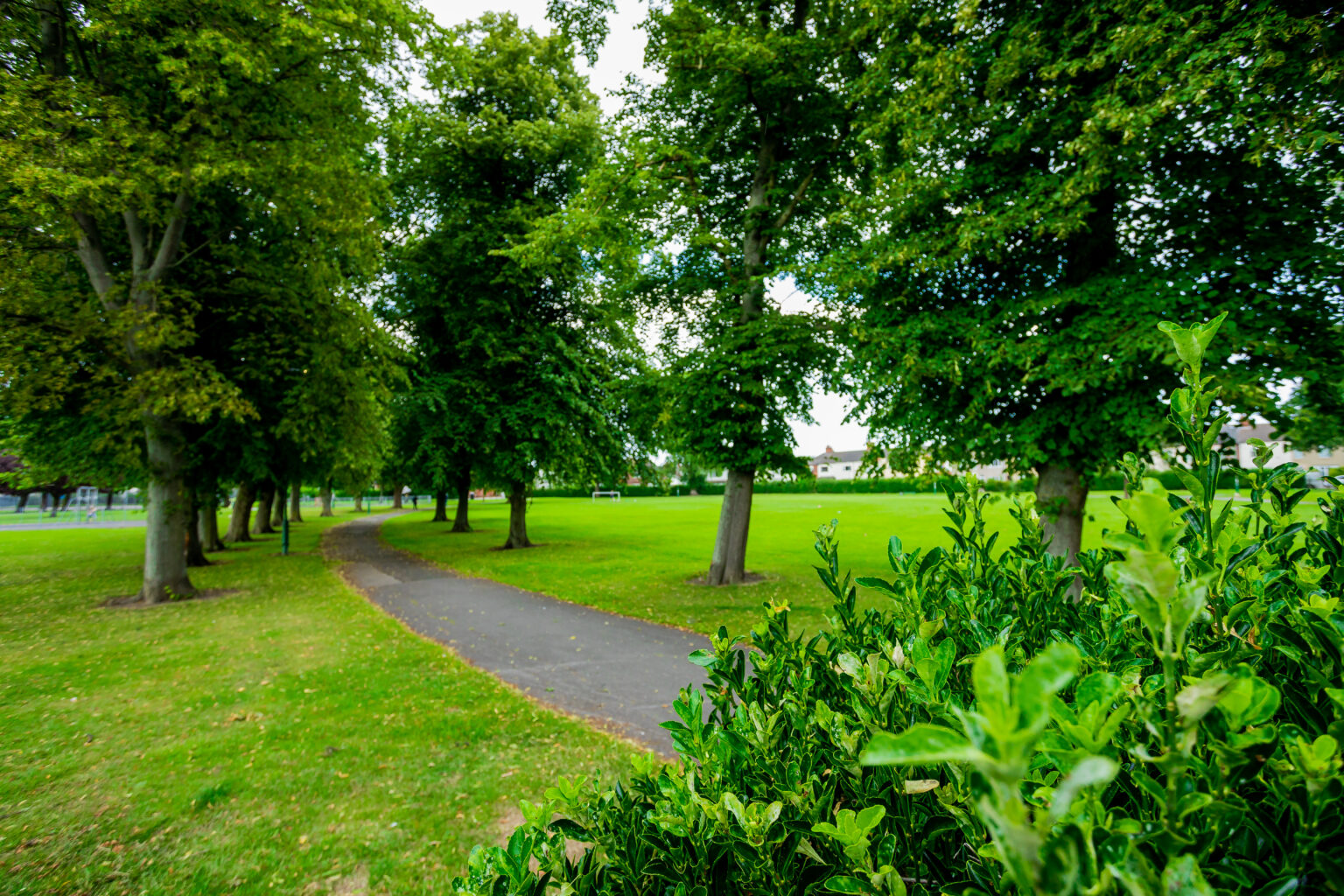 Joint operation tackles Anti-Social Behaviour in Grant Thorold Park | NELC
