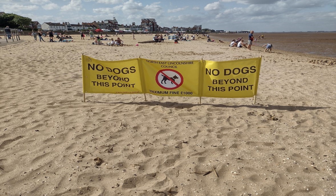 Changes to dog walking to come into force on Cleethorpes beach | NELC