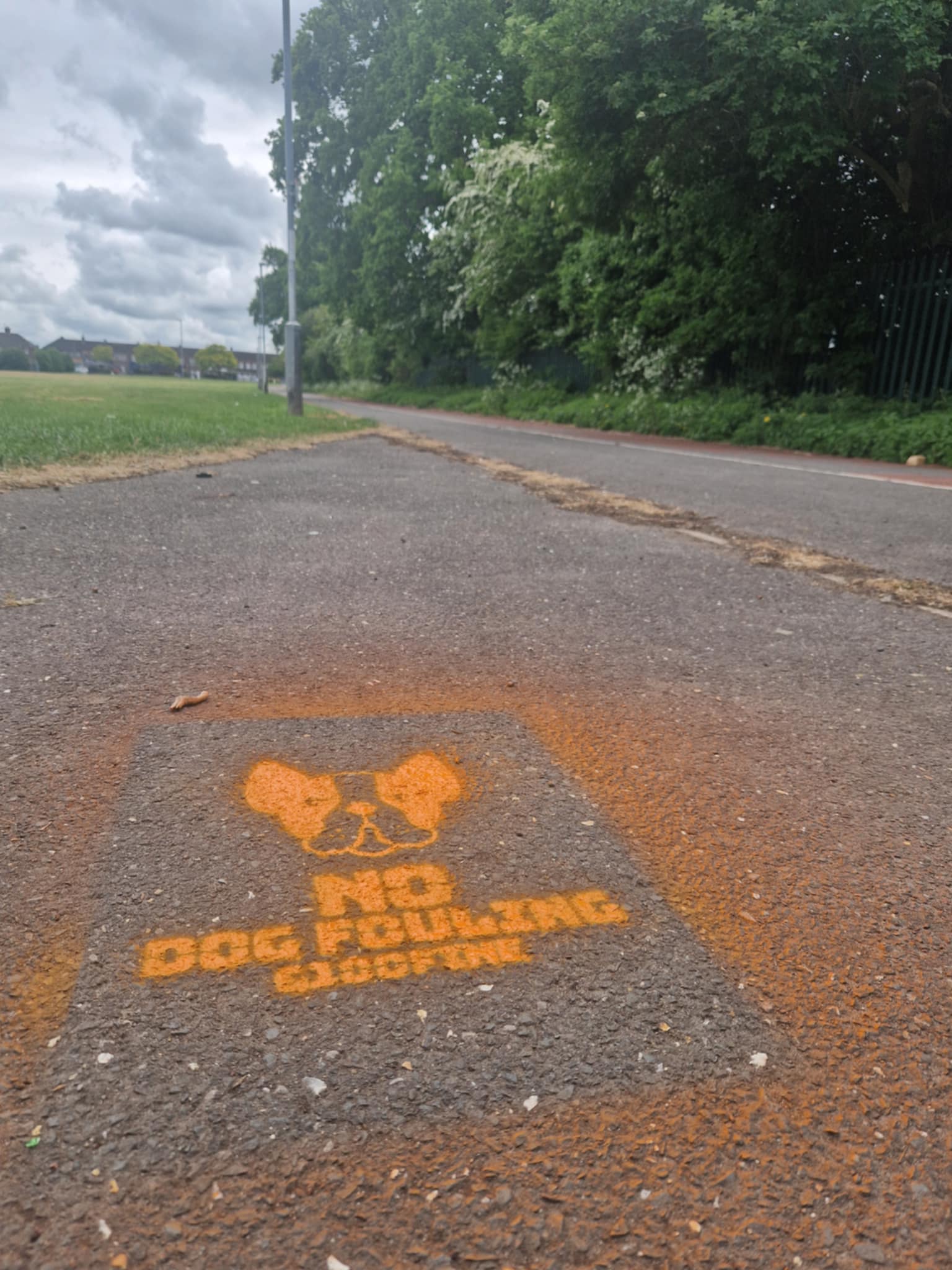 Who let the dogs out? Stencils helping in campaign against dog fouling ...