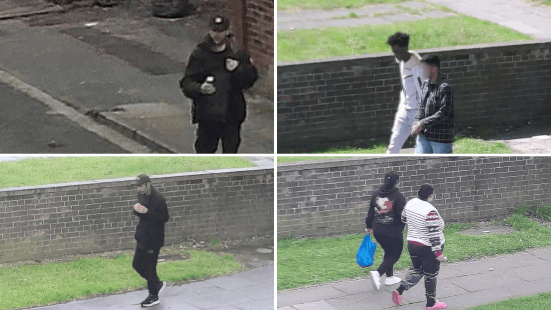 Can you help catch these litter louts? | NELC