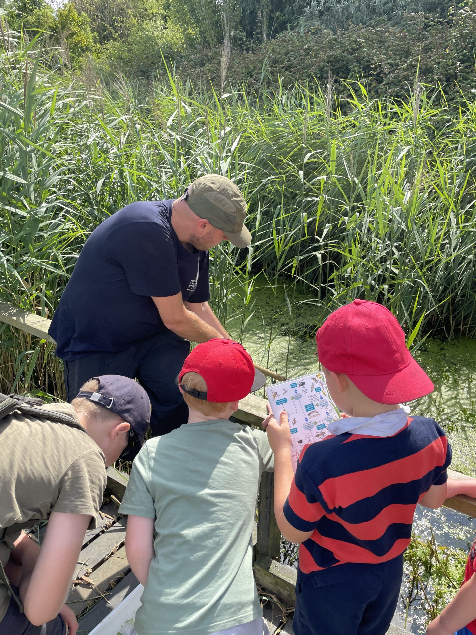 Families turn out to enjoy our green spaces during Love Parks Week | NELC