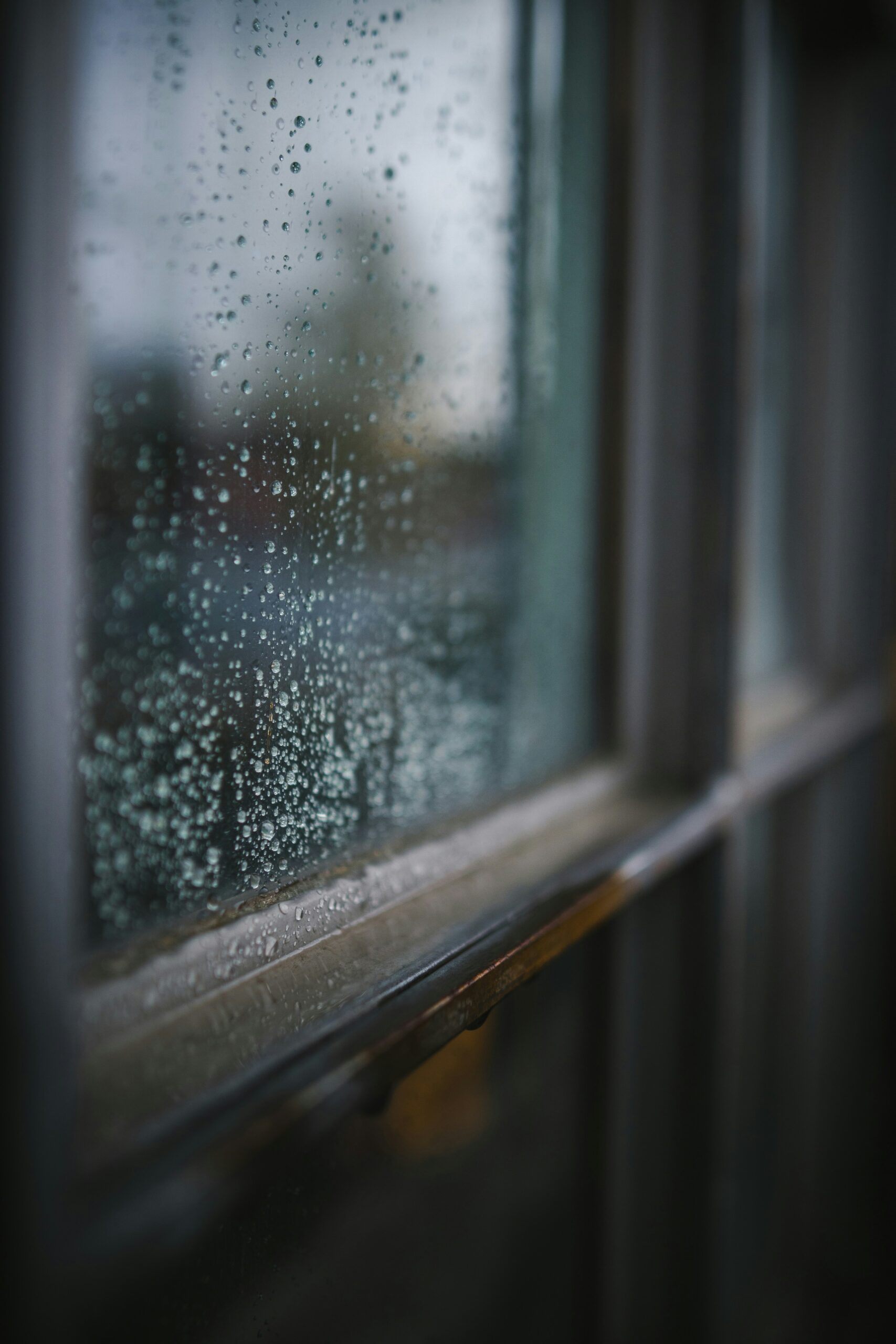 Don’t let condensation put a dampener on your Christmas | NELC