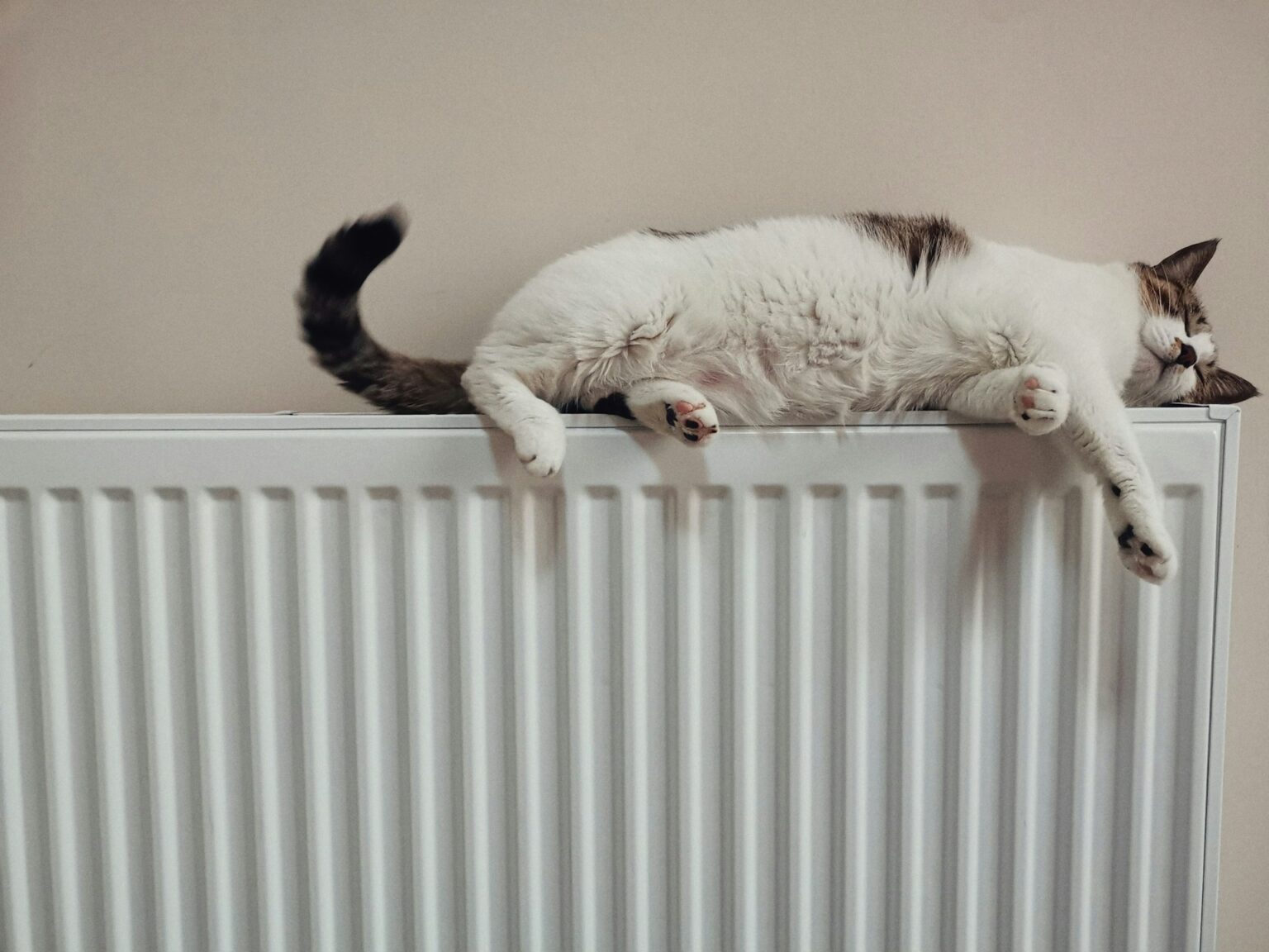 Support for low income households using heating oil | NELC